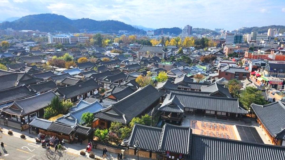 Private Jeonju Hanok Village + Suwon Starfield Library One Day Tour(fr ...